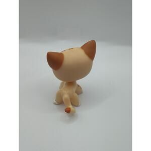 Littlest Pet Shop | Toys | Littlest Pet Shop Lps Authentic Rare 852 ...